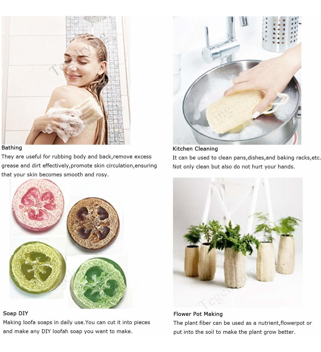 Loofah Y Jabón Kit-exfoliantes Naturales De Moldes De Lufa E ...